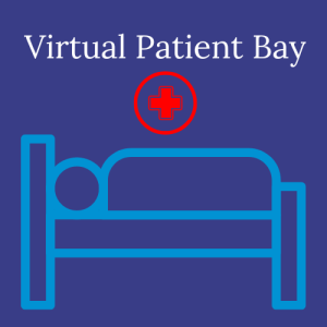 Enhancing Patient Care Prioritisation: The Virtual Patient Bay E ...